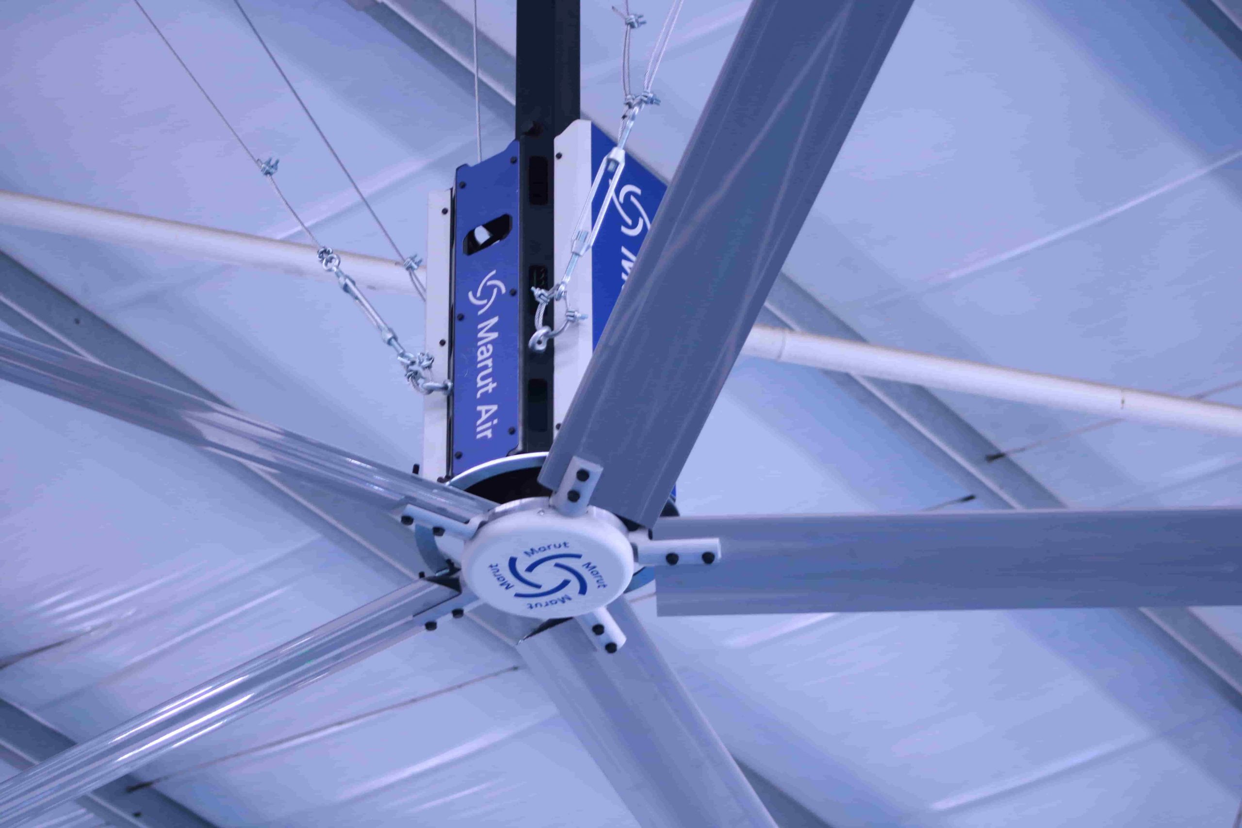 Beat Heat Stress with Big Industrial Fan - Marut Air