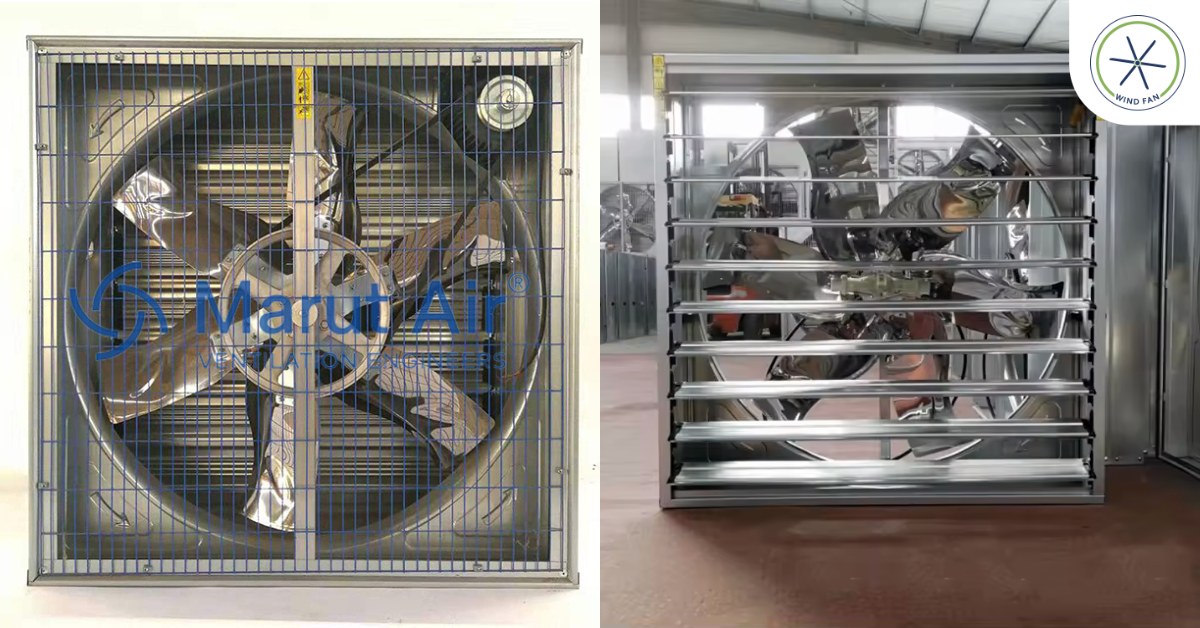 Marut Air vs. Wind Fan: Which is the Best Exhaust Fan?